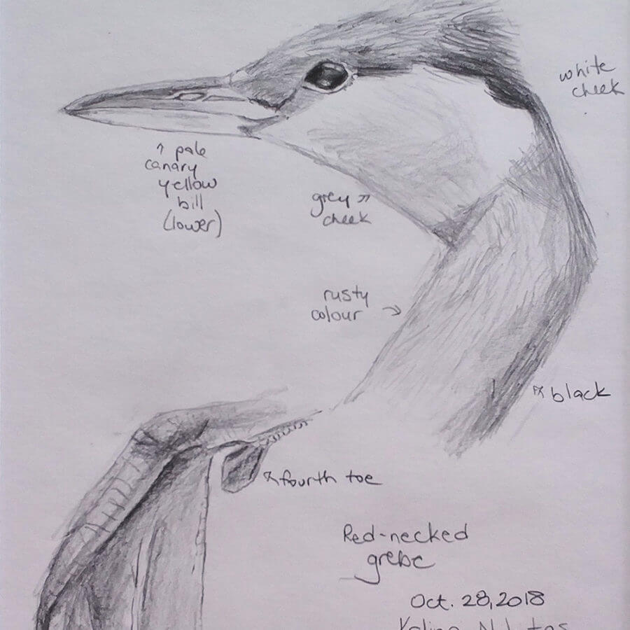How to Draw Realistic Rough Stones and Cement Objects in Colored Pencil ...